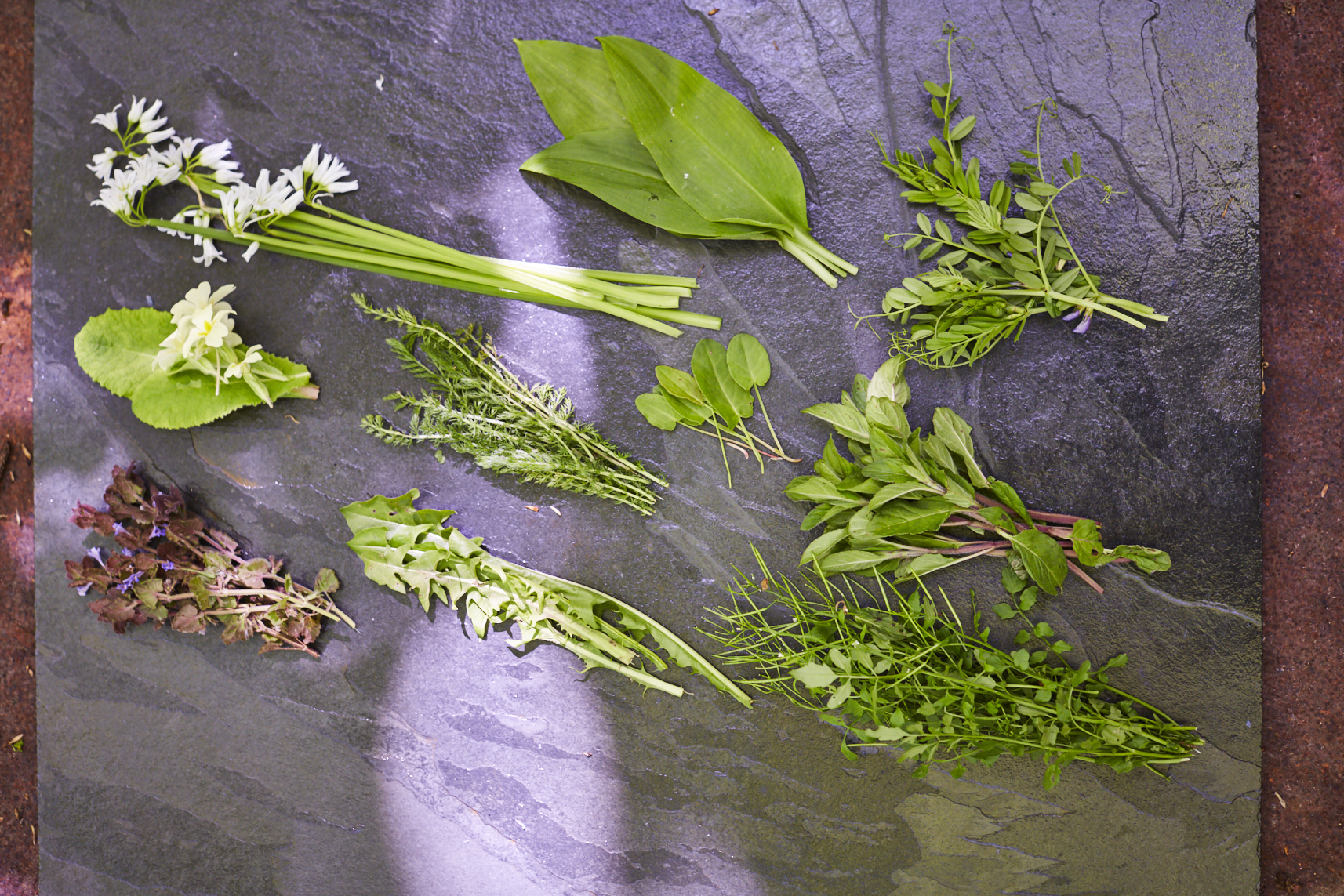 Spring Seasonal Day – 4th May 2024 – Hunter Gather Cook