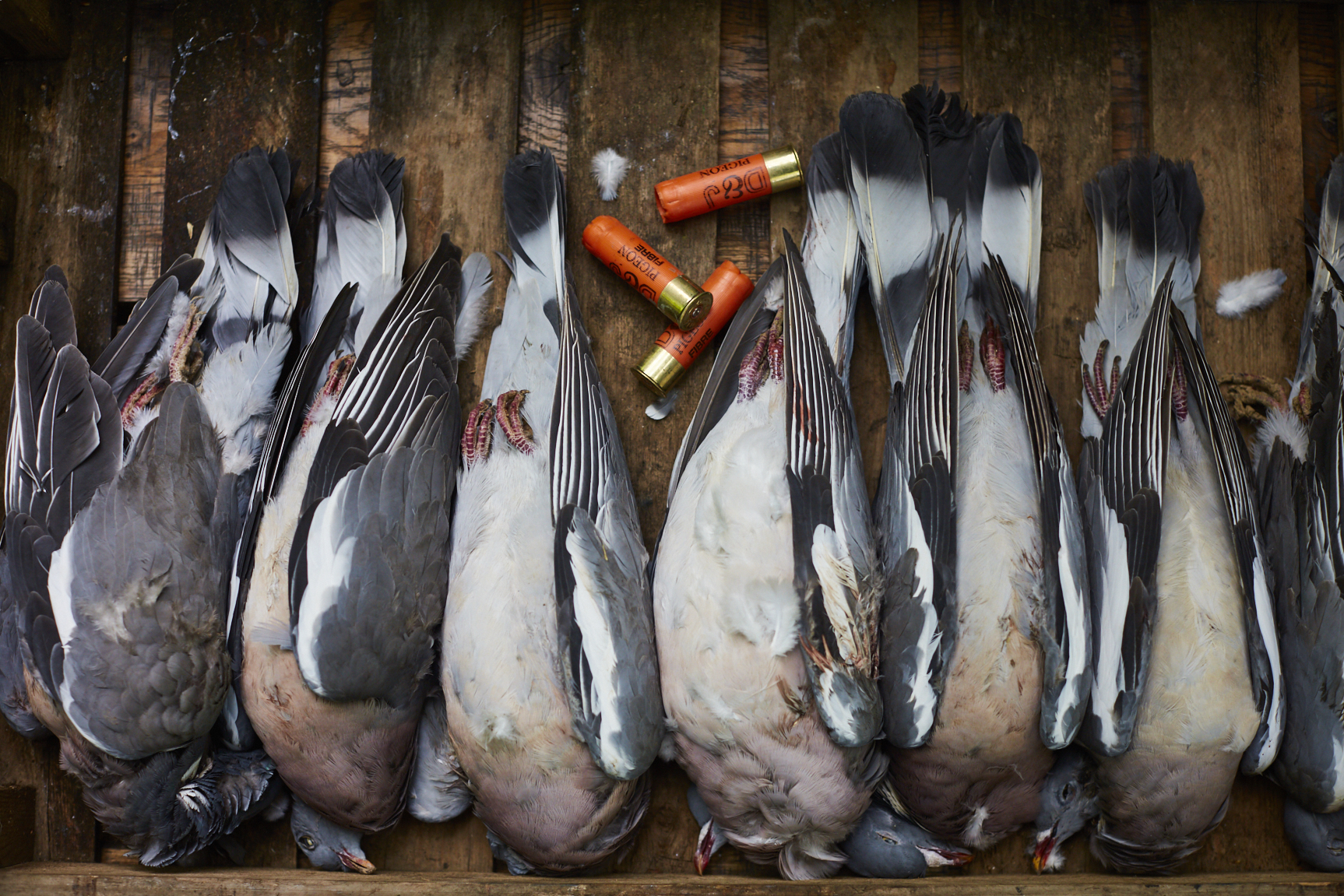 HGC Game Course – 4th February 2023 – Hunter Gather Cook