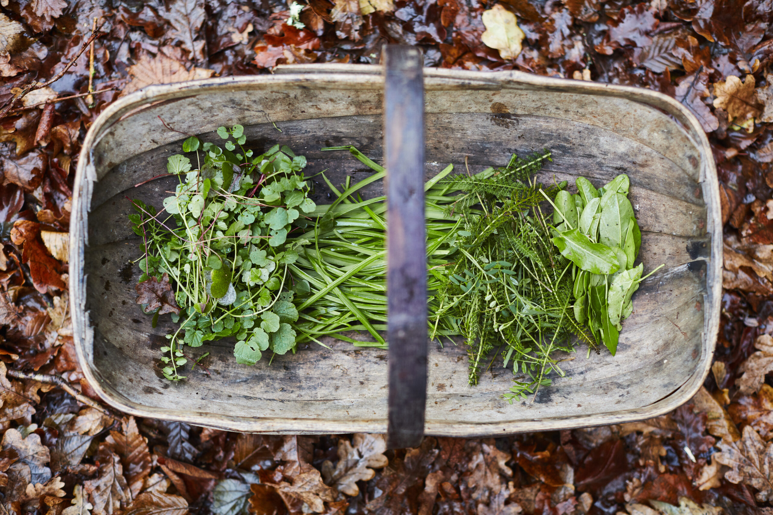 Spring Seasonal Day – 16th March 2024 – Hunter Gather Cook