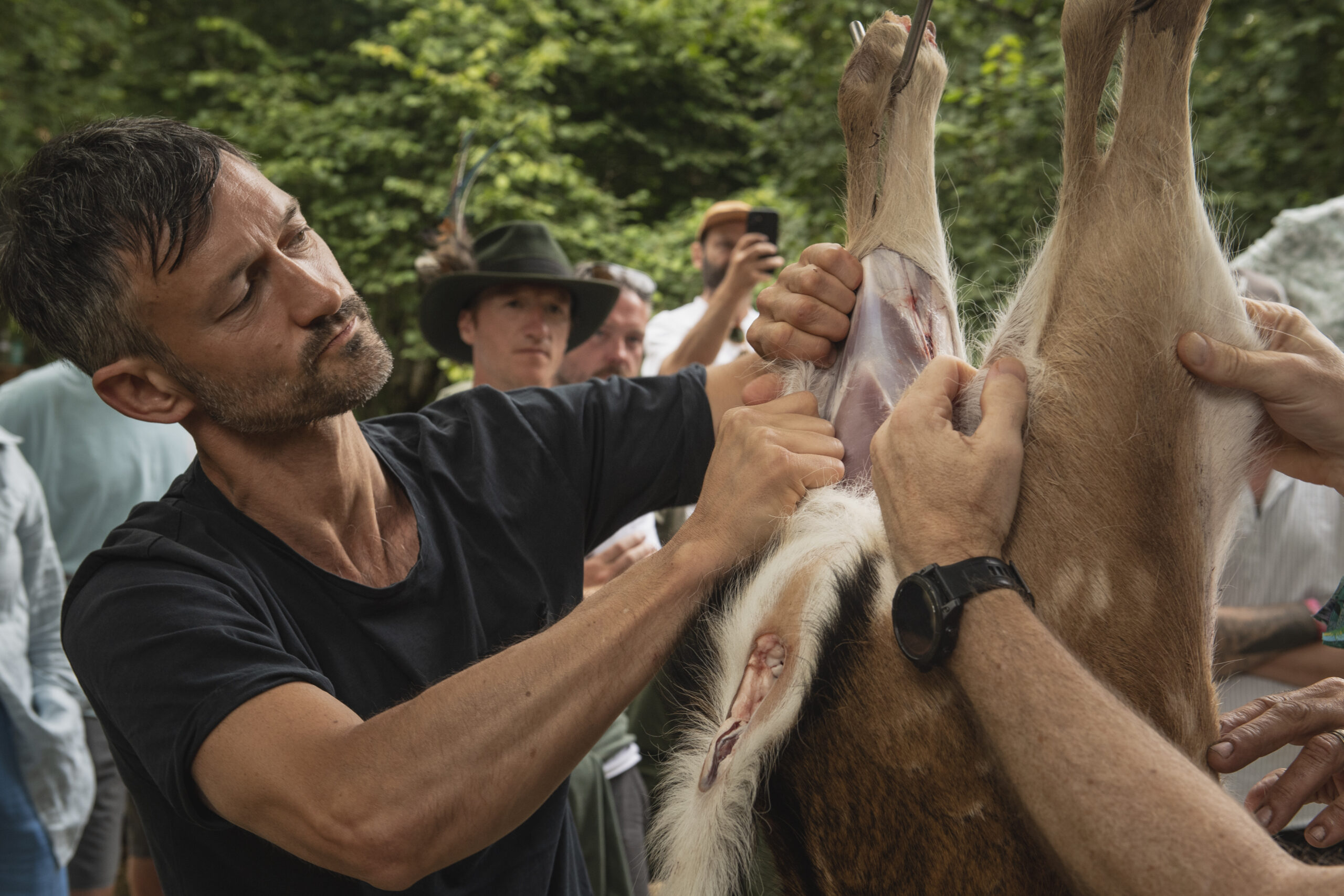 Deer in a day – 23rd August 2025 – Hunter Gather Cook