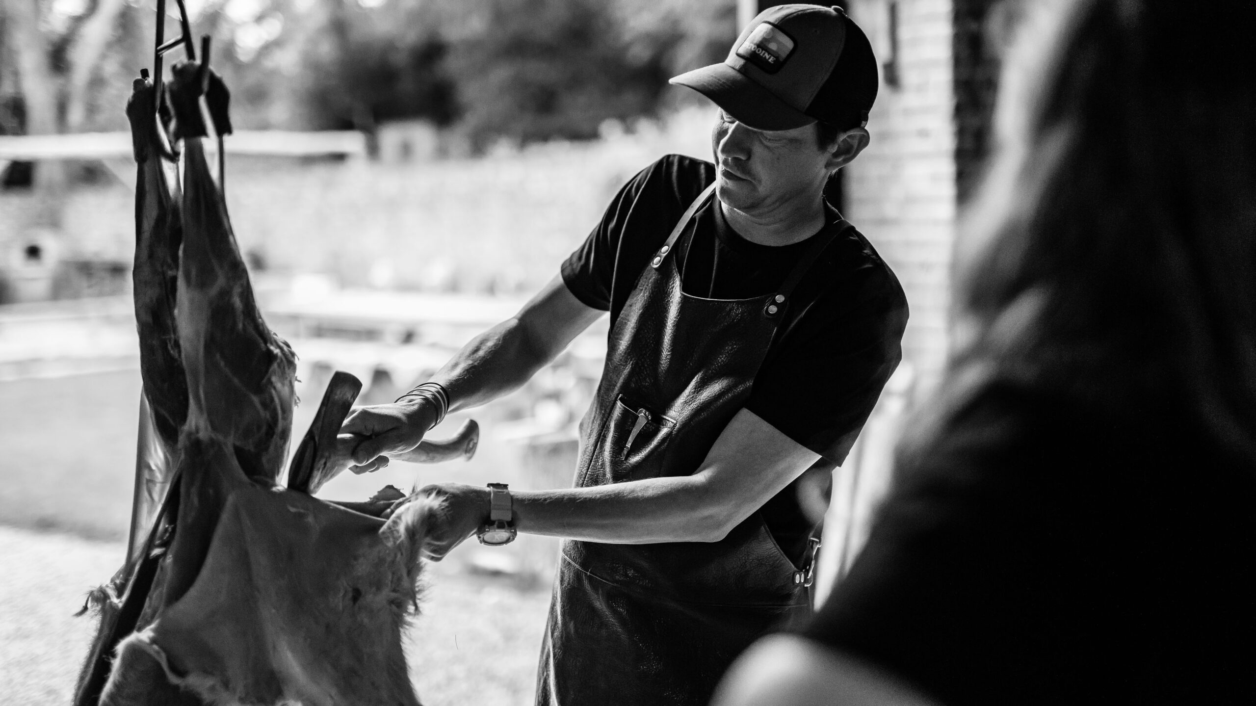 Deer in a day – 25th January 2025 – Hunter Gather Cook