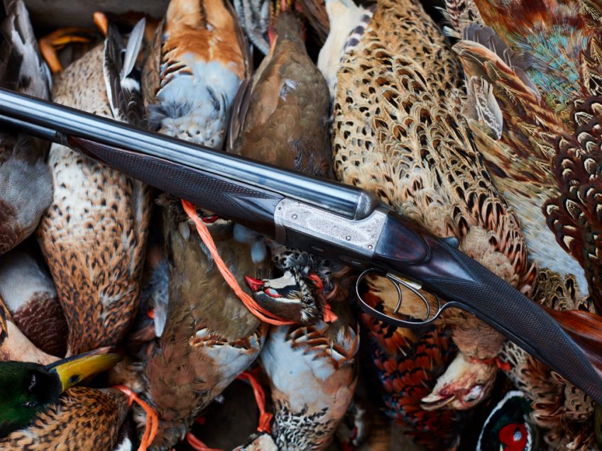 Hunter Gather Cook