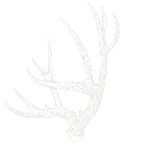 Fire fuelled meaty madness with DJ BBQ – 25th May 2024 – Hunter Gather Cook