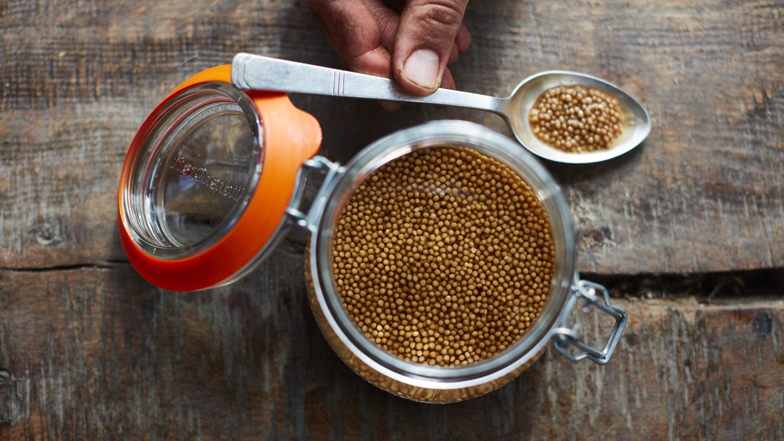 Wild Ferments & Pickles March 25th 2023 – Hunter Gather Cook