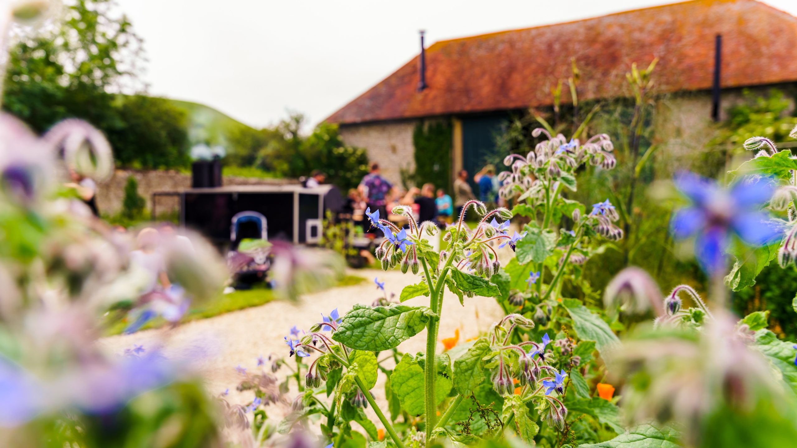 Fire fuelled meaty madness with DJ BBQ – 25th May 2024 – Hunter Gather Cook