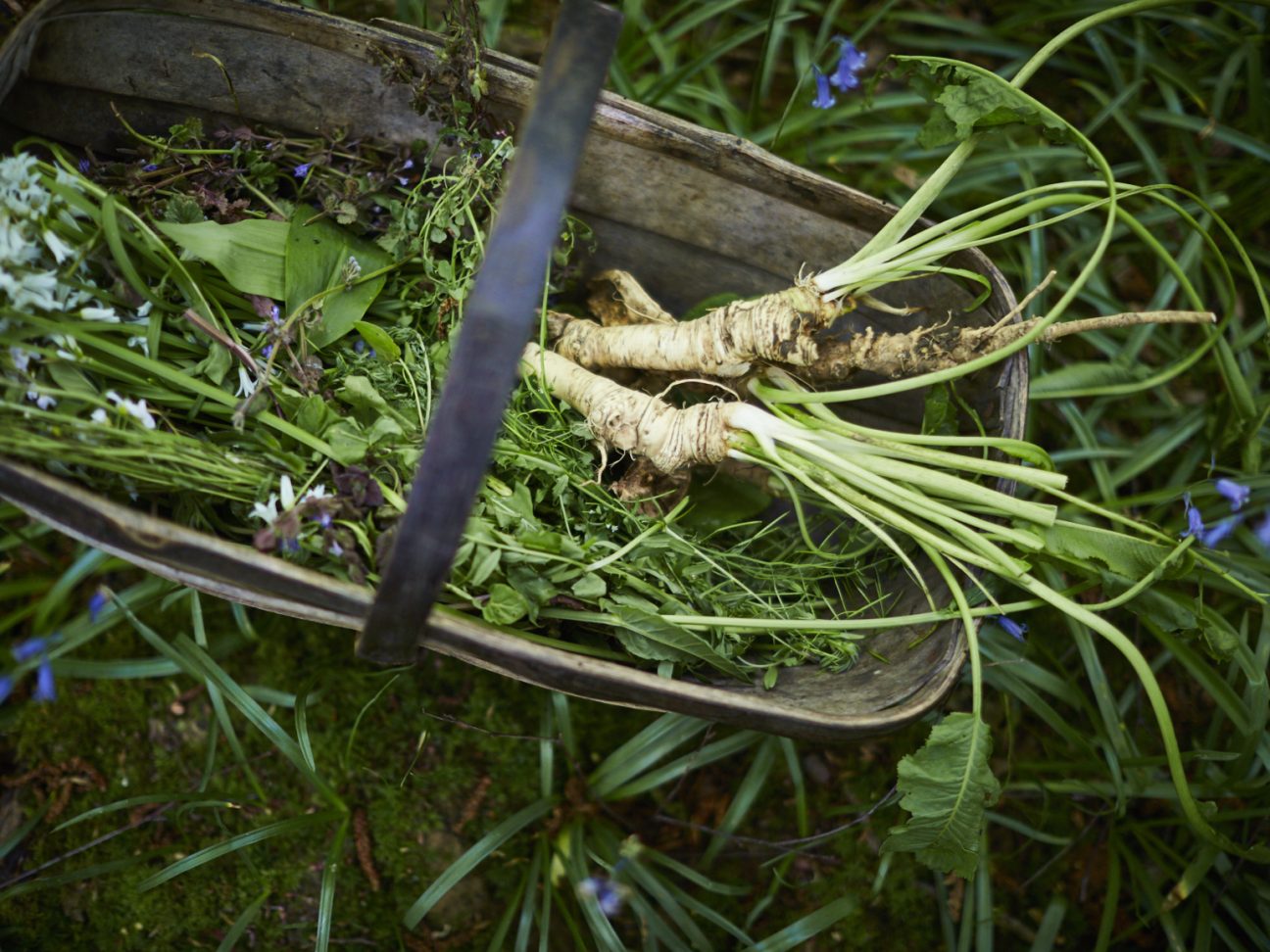 Events - Hunter Gather Cook