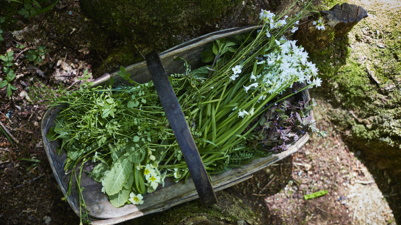 Summer Seasonal Day course – 6th June 2026 – Hunter Gather Cook