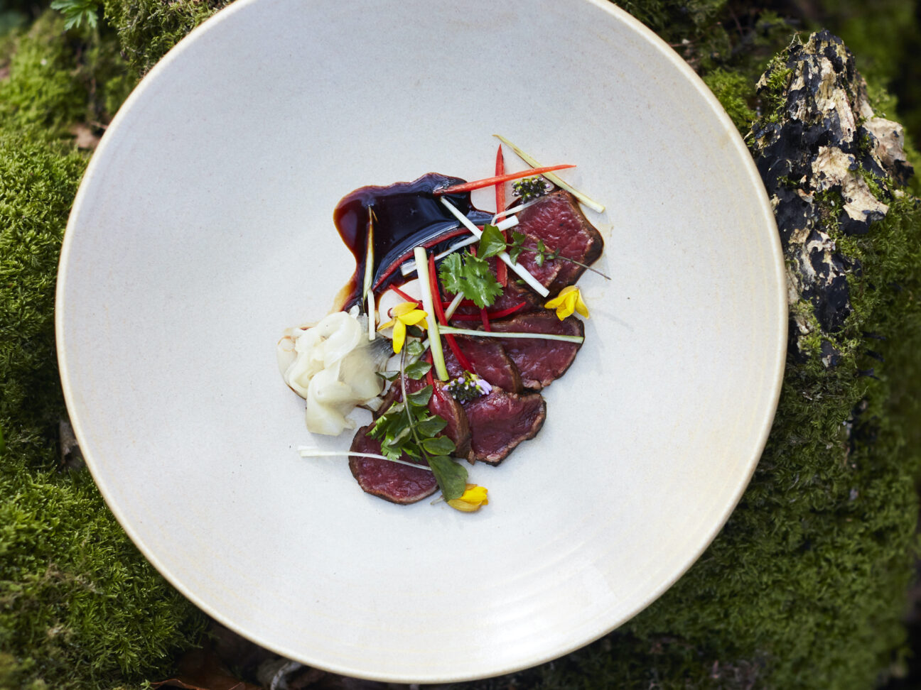 Hunter Gather Cook