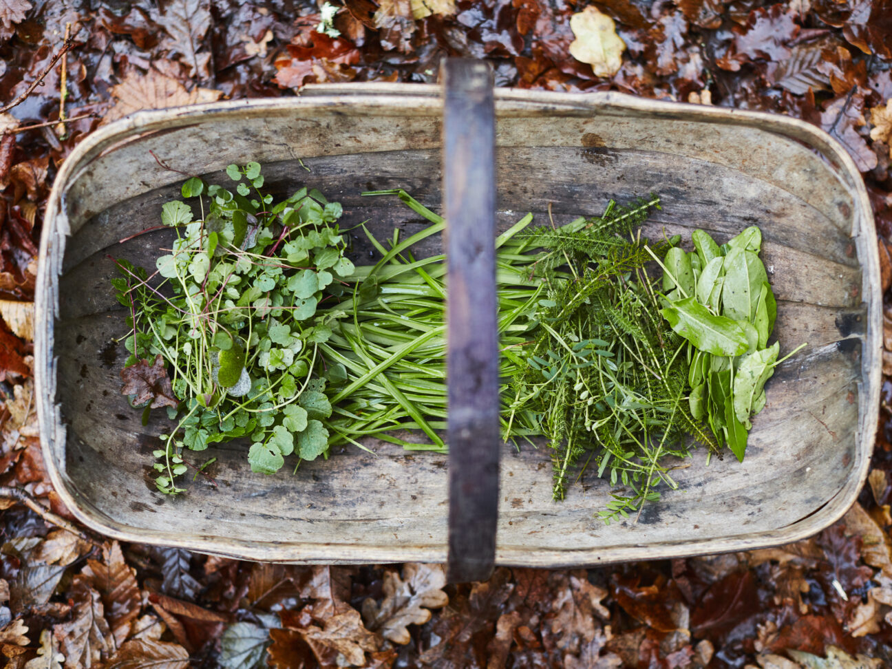 Events – Hunter Gather Cook