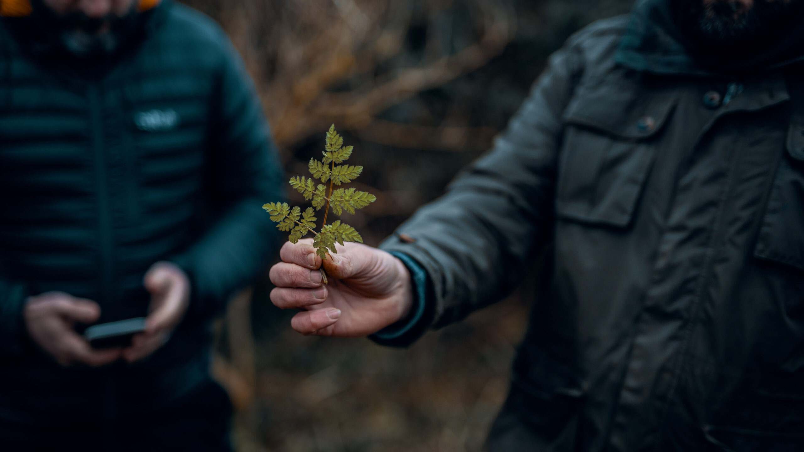 Seasonal Day Course – 18th January 2025 – Hunter Gather Cook
