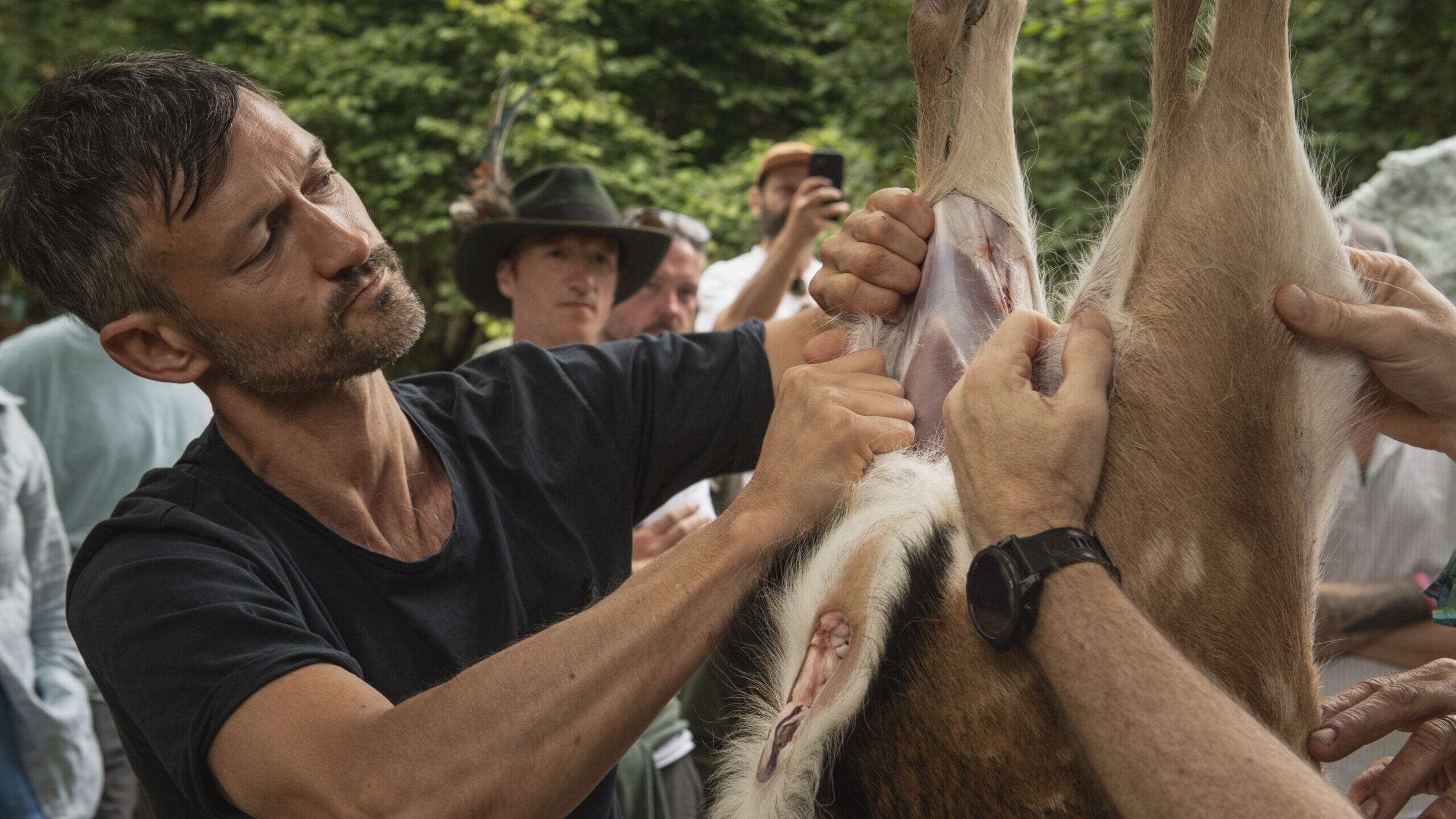 Deer in a day – 23rd August 2025 – Hunter Gather Cook