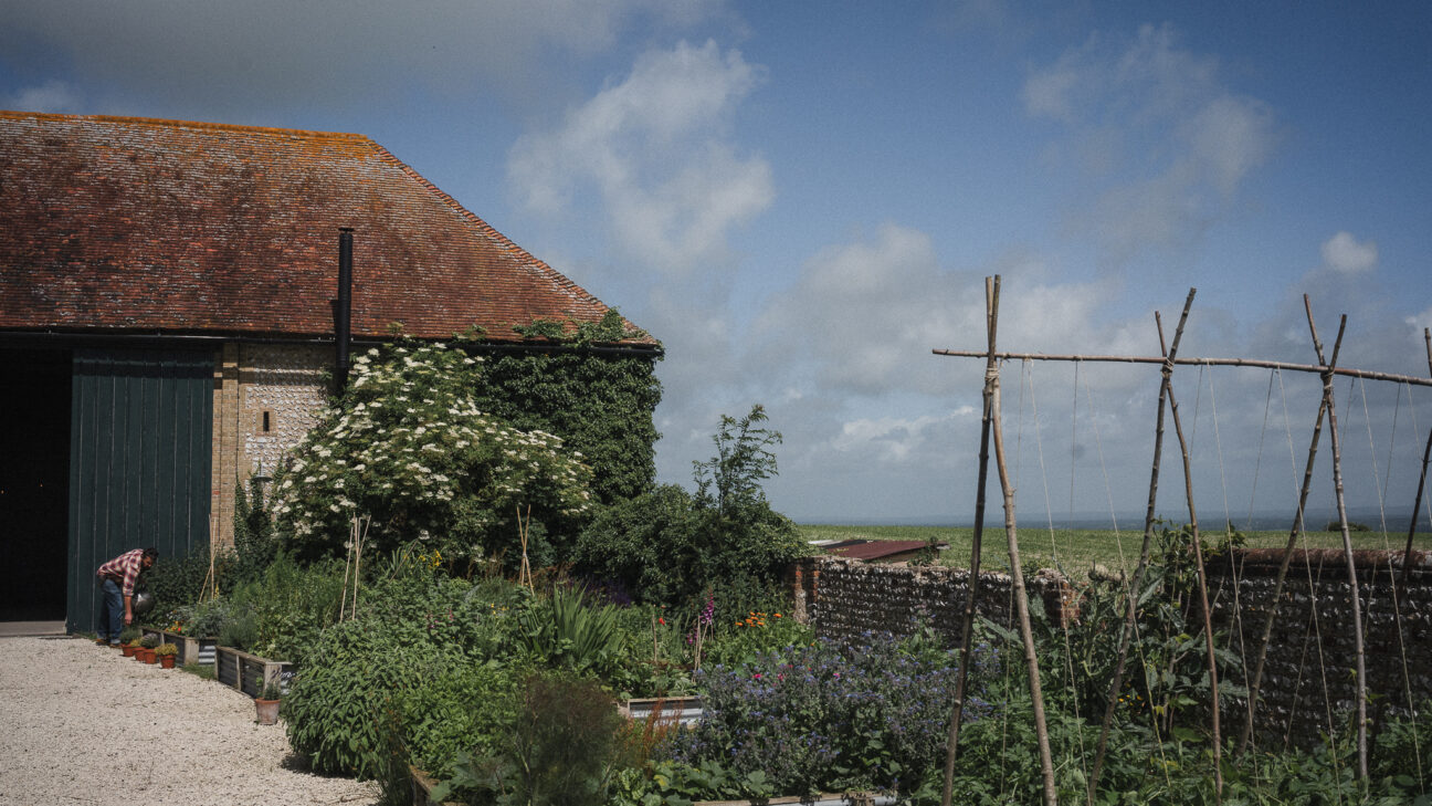 Spring Seasonal Day Course – 14th March 2026 – Hunter Gather Cook