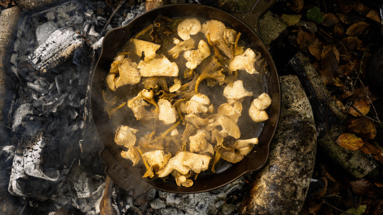 Mushrooms, truffle + game – 10th October 2026 – Hunter Gather Cook